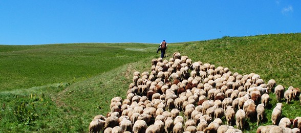 Leadership leading flock - Gethsemane Baptist ChurchGethsemane Baptist ...